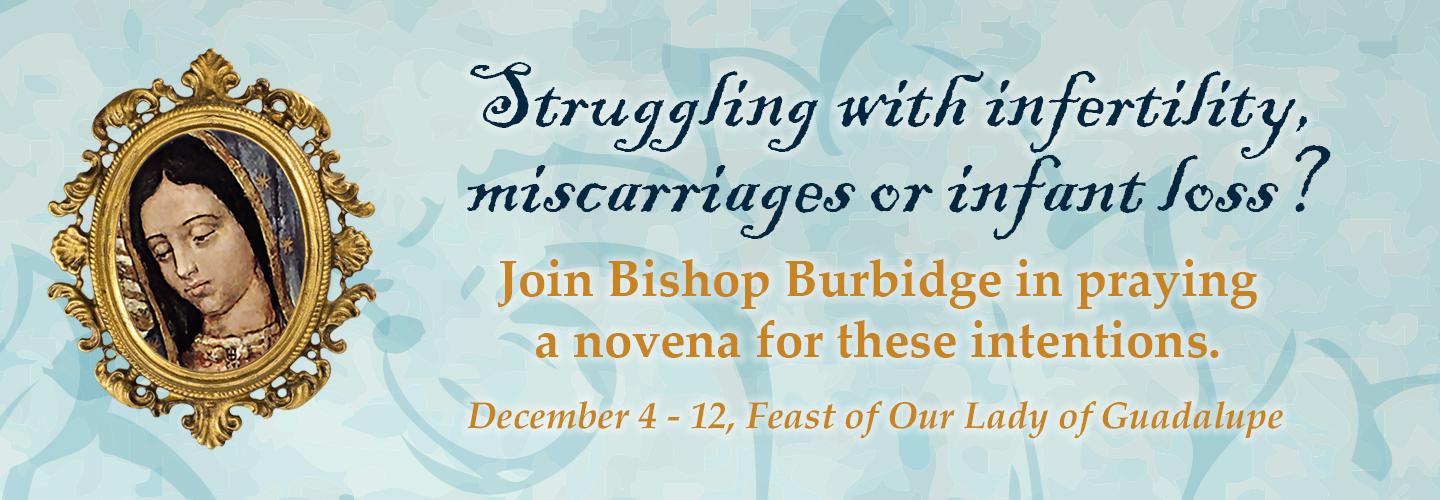 Novena to Our Lady of Guadalupe - Catholic Diocese of Arlington