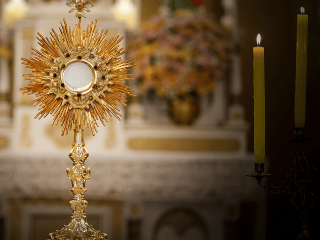 Hour of Mercy for the Protection of Unborn Children - Catholic Diocese ...